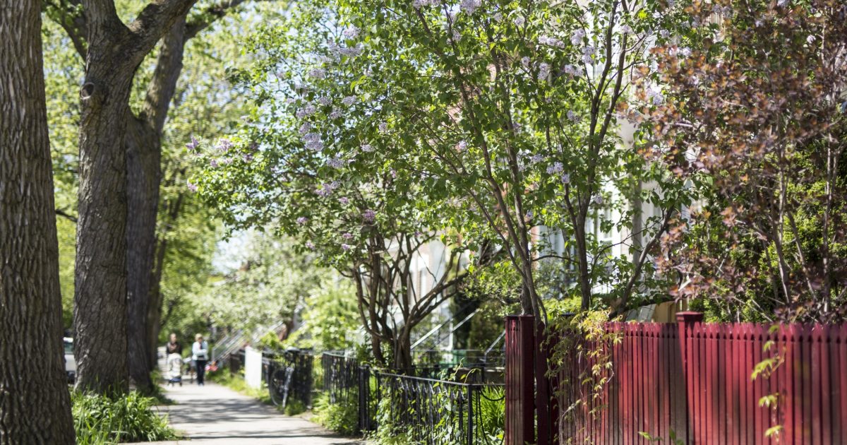 Projet Montréal | La Ville de Montréal accélère le verdissement des…